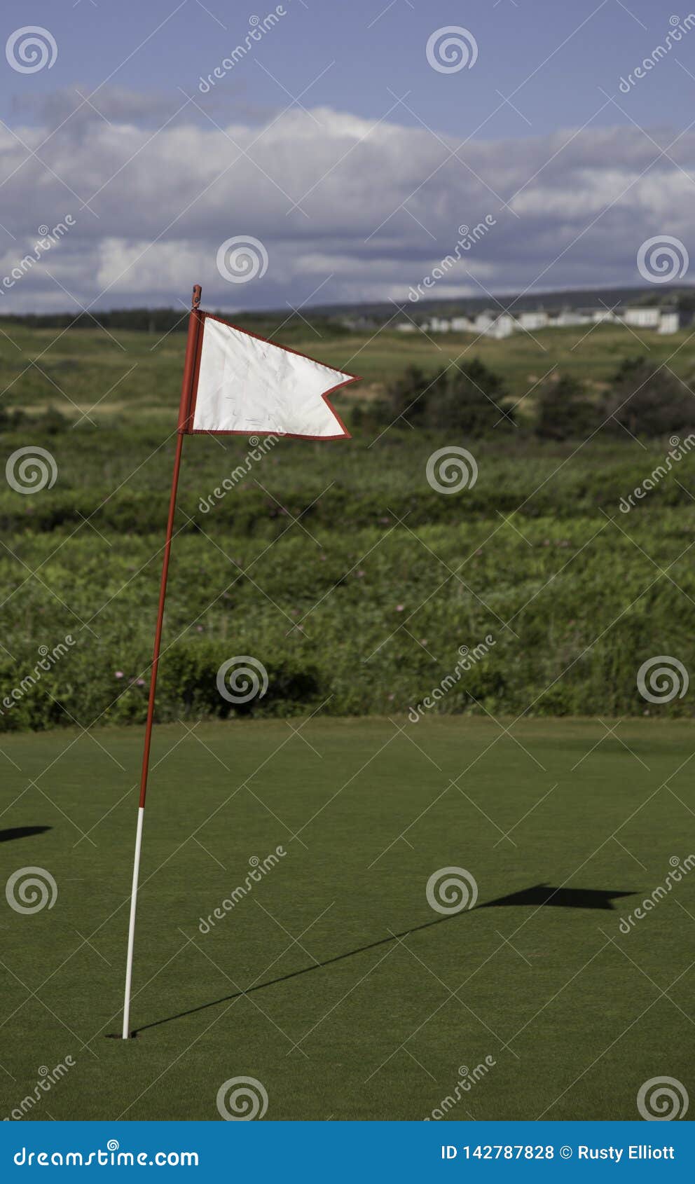 White golf flag on a green stock photo. Image of green - 142787828