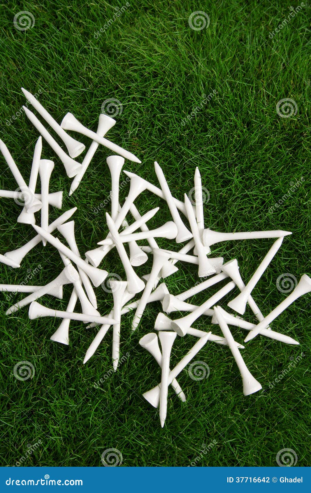 White golf tees stock photo. Image of green, white, grass - 37716642