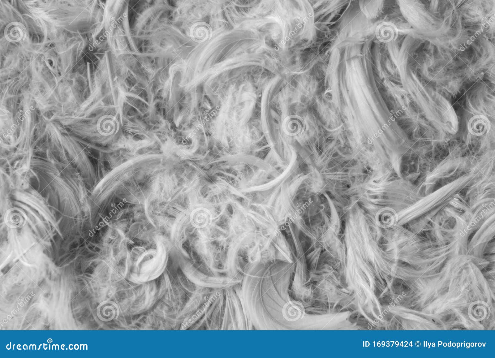 White Goose Feathers and Fluff from Pillows Texture Background Stock ...