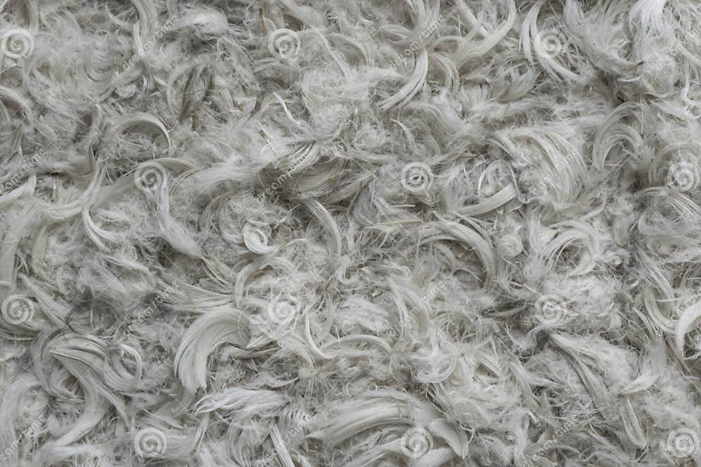 White Goose Feathers and Fluff from Pillows Texture Background Stock ...