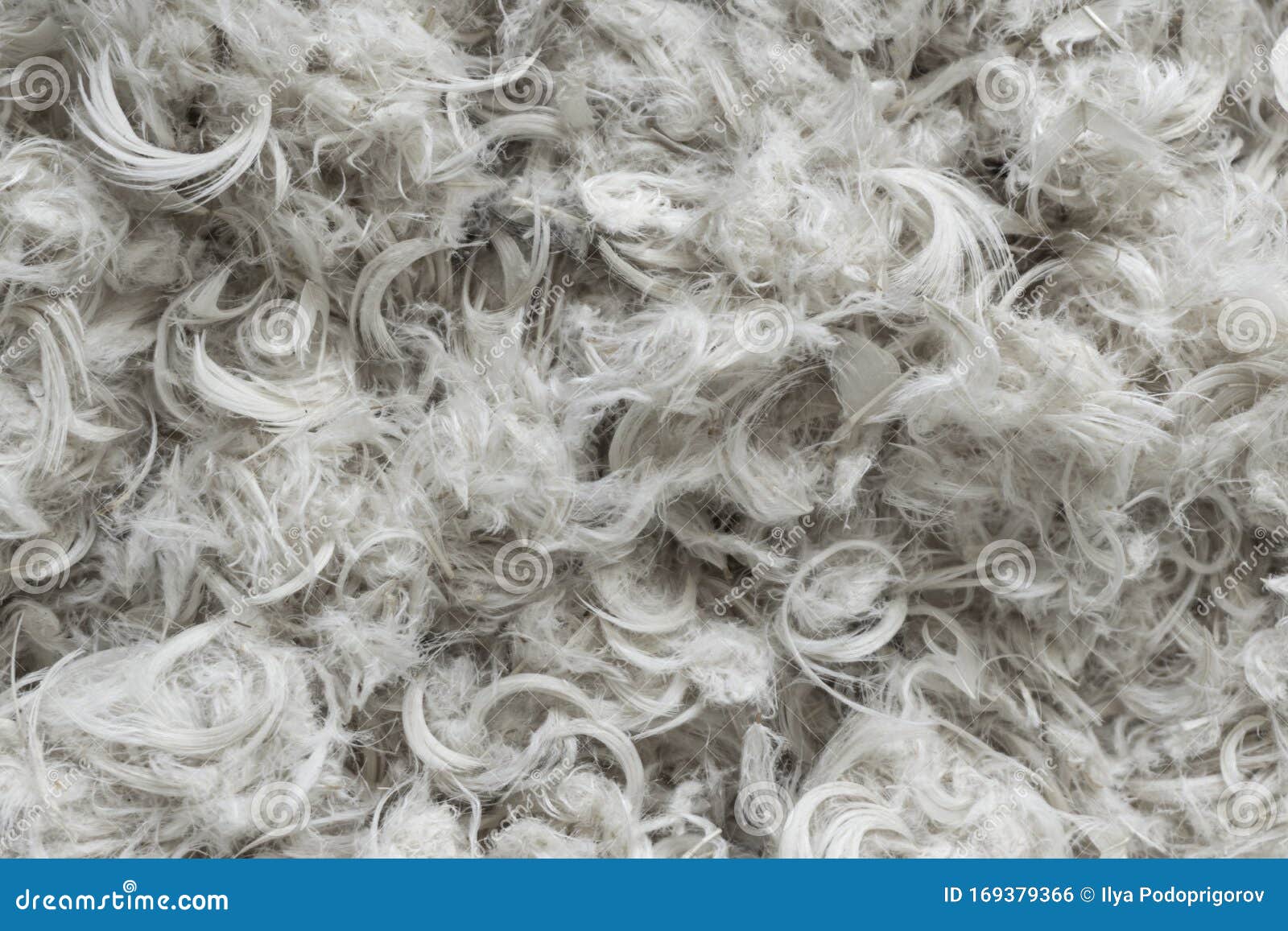 White Goose Feathers and Fluff from Pillows Texture Background Stock ...