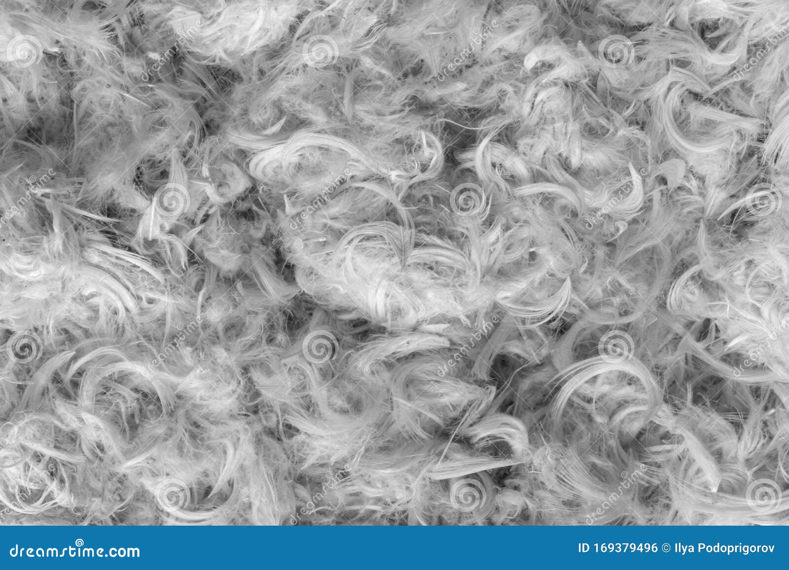 White Goose Feathers and Fluff from Pillows Texture Background Stock ...