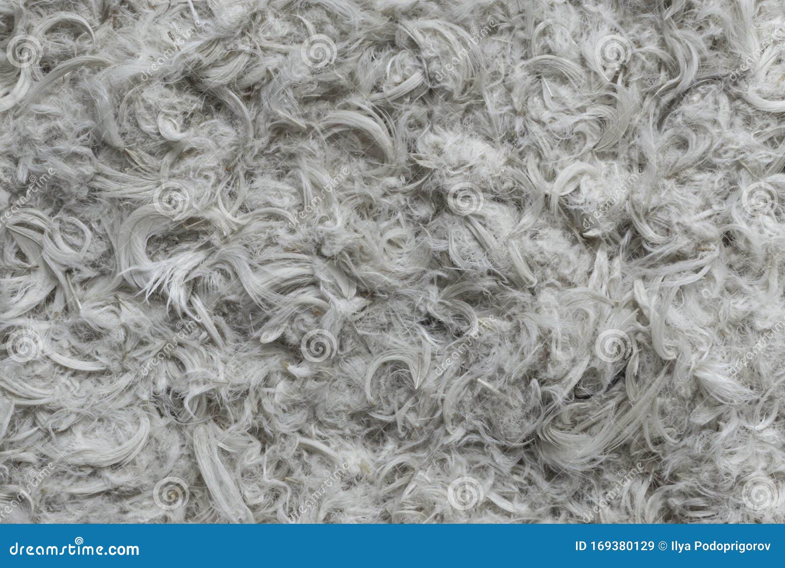 White Goose Feathers and Fluff from Pillows Texture Background Stock ...