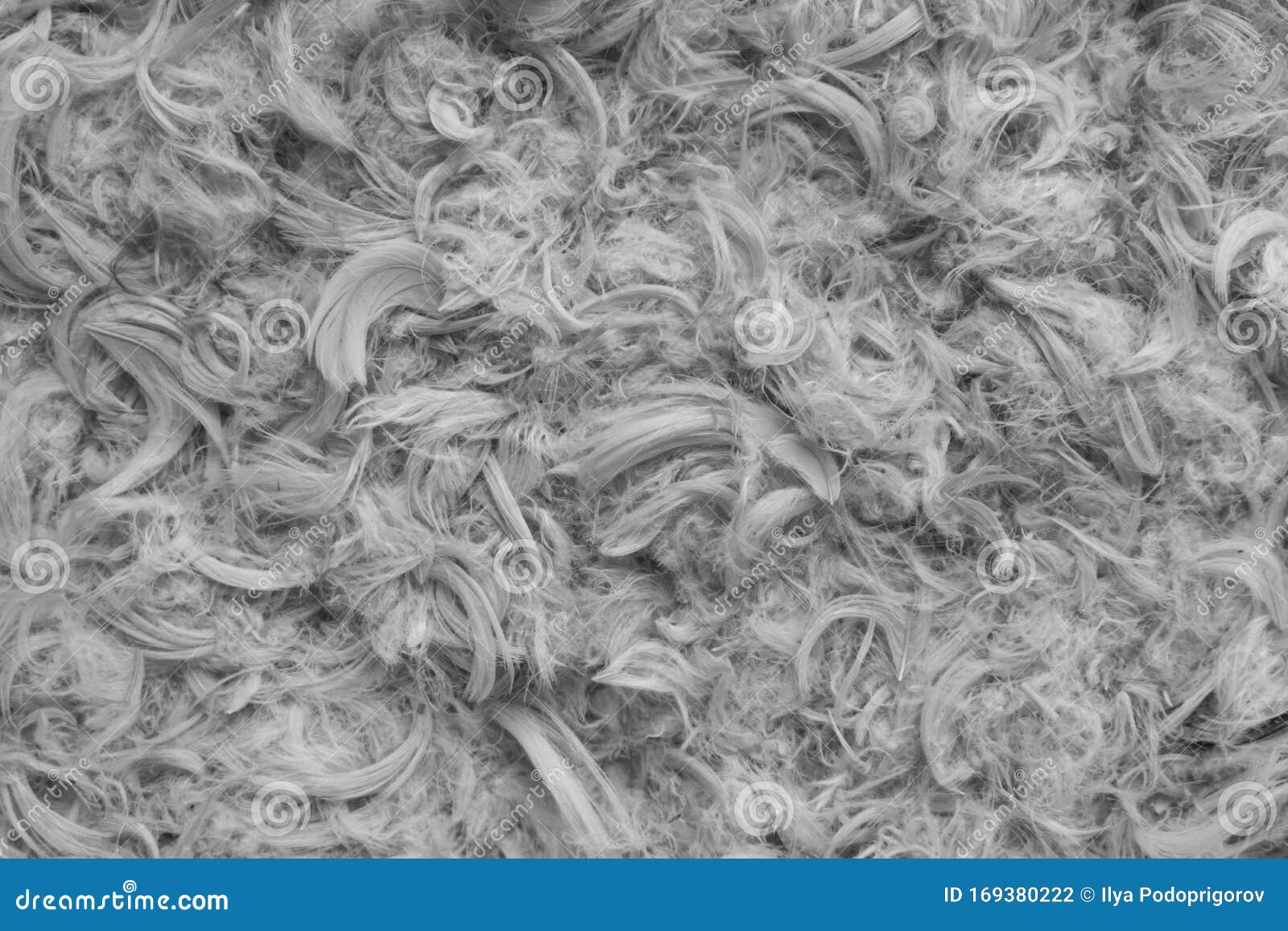 White Goose Feathers and Fluff from Pillows Texture Background Stock ...