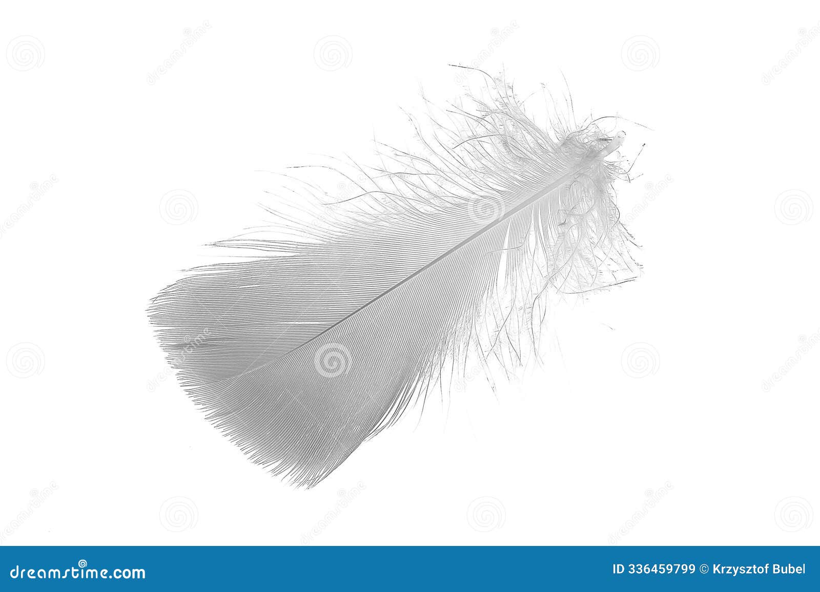 White Goose Feathers on a White Background Stock Image - Image of ...