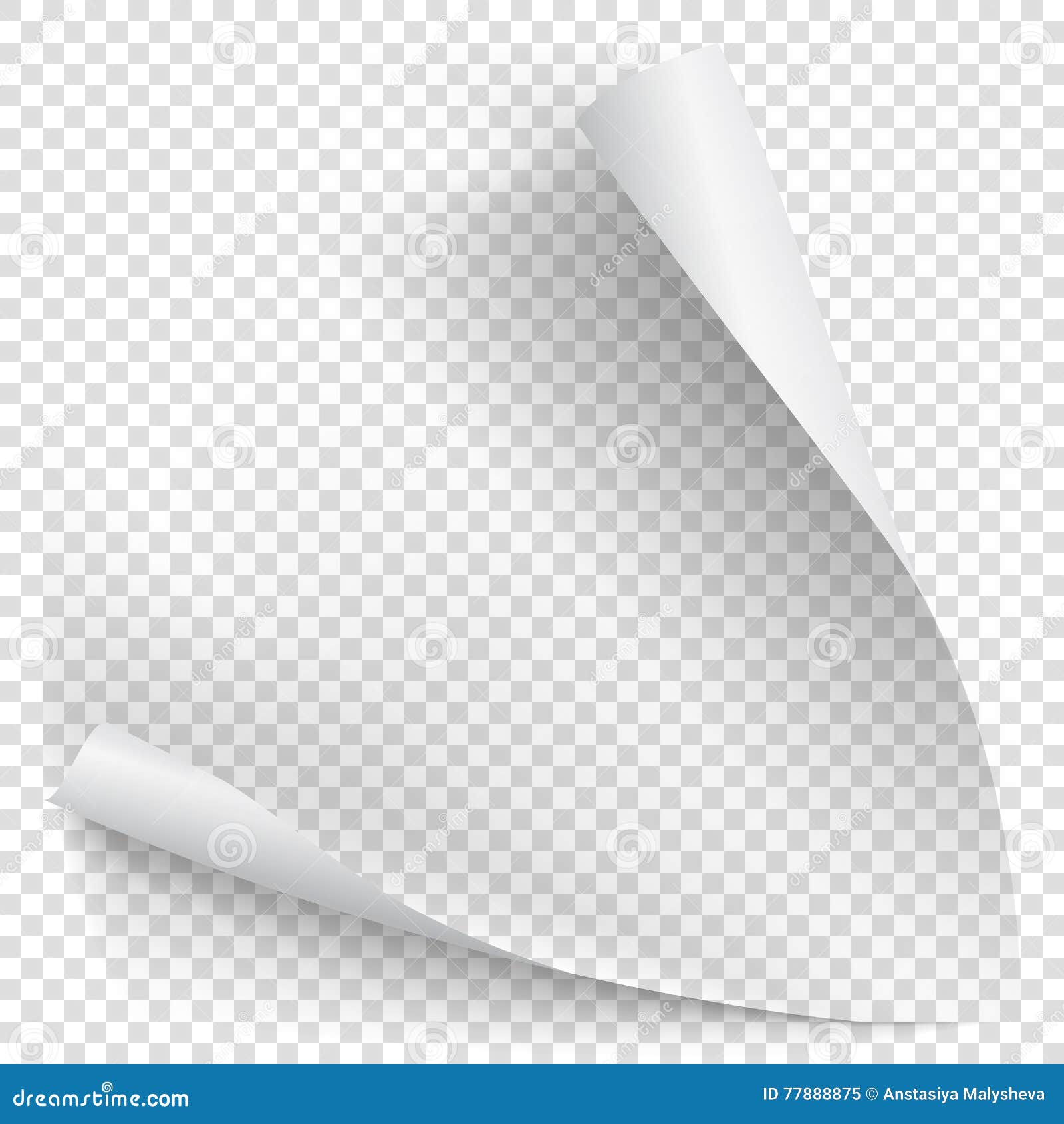 White gradient paper curl stock vector. Illustration of back - 77888875