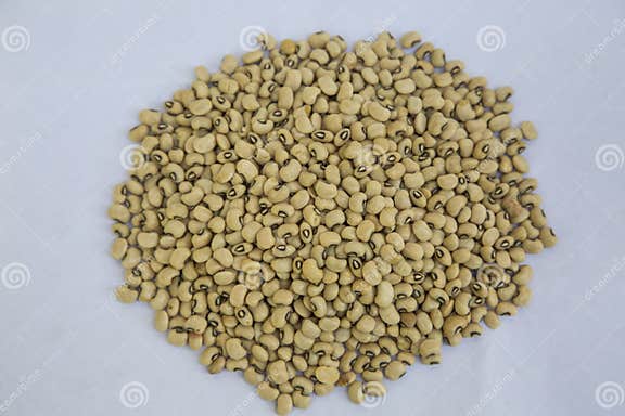 White Gram stock image. Image of tasty, sustenance, parippu - 66917509