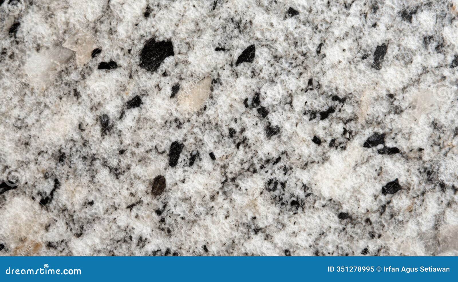 White Granite Stone Surface Texture Detail Close Up Stock Illustration ...