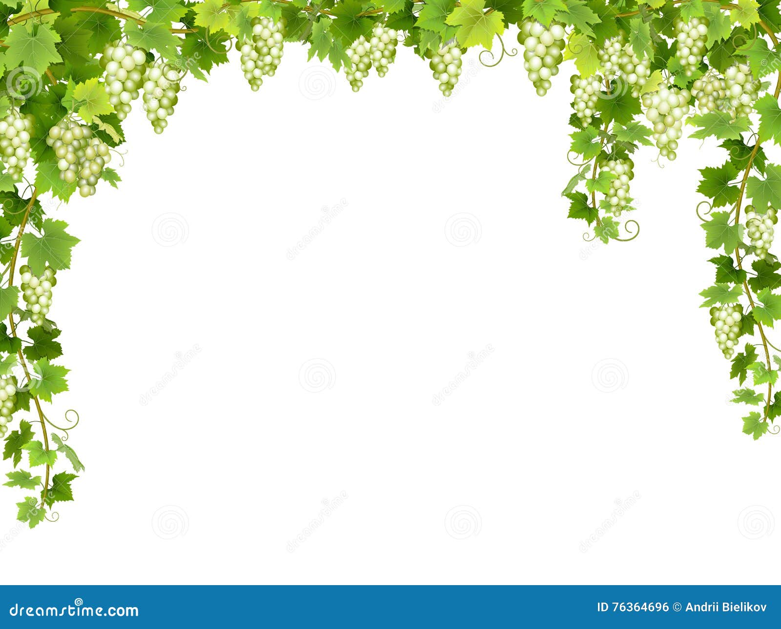 White grape floral frame stock vector. Illustration of food - 76364696