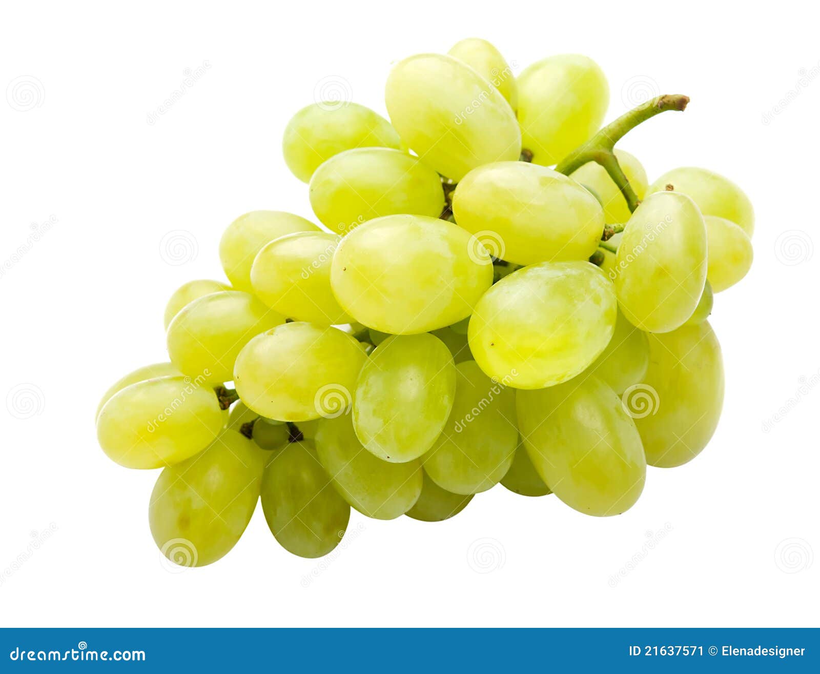 White grape fully isolated stock image. Image of background - 21637571