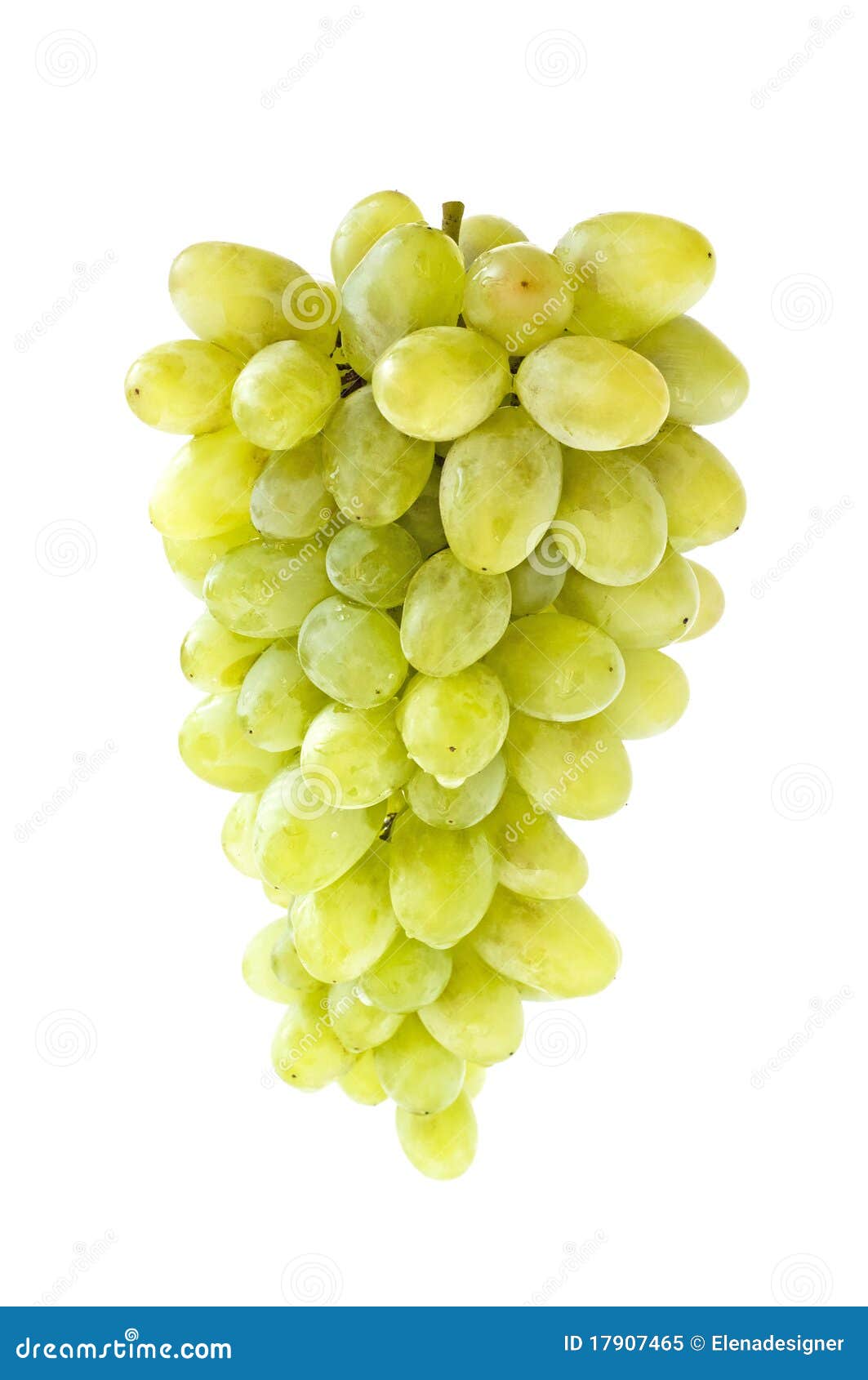 White grape isolated stock image. Image of taste, food - 17907465