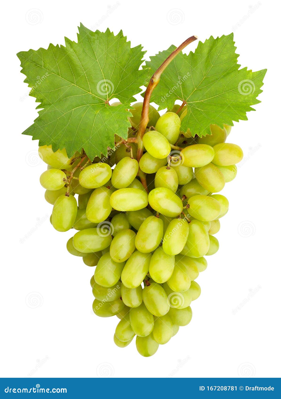 White grape stock image. Image of fresh, nutrient, grapes - 167208781