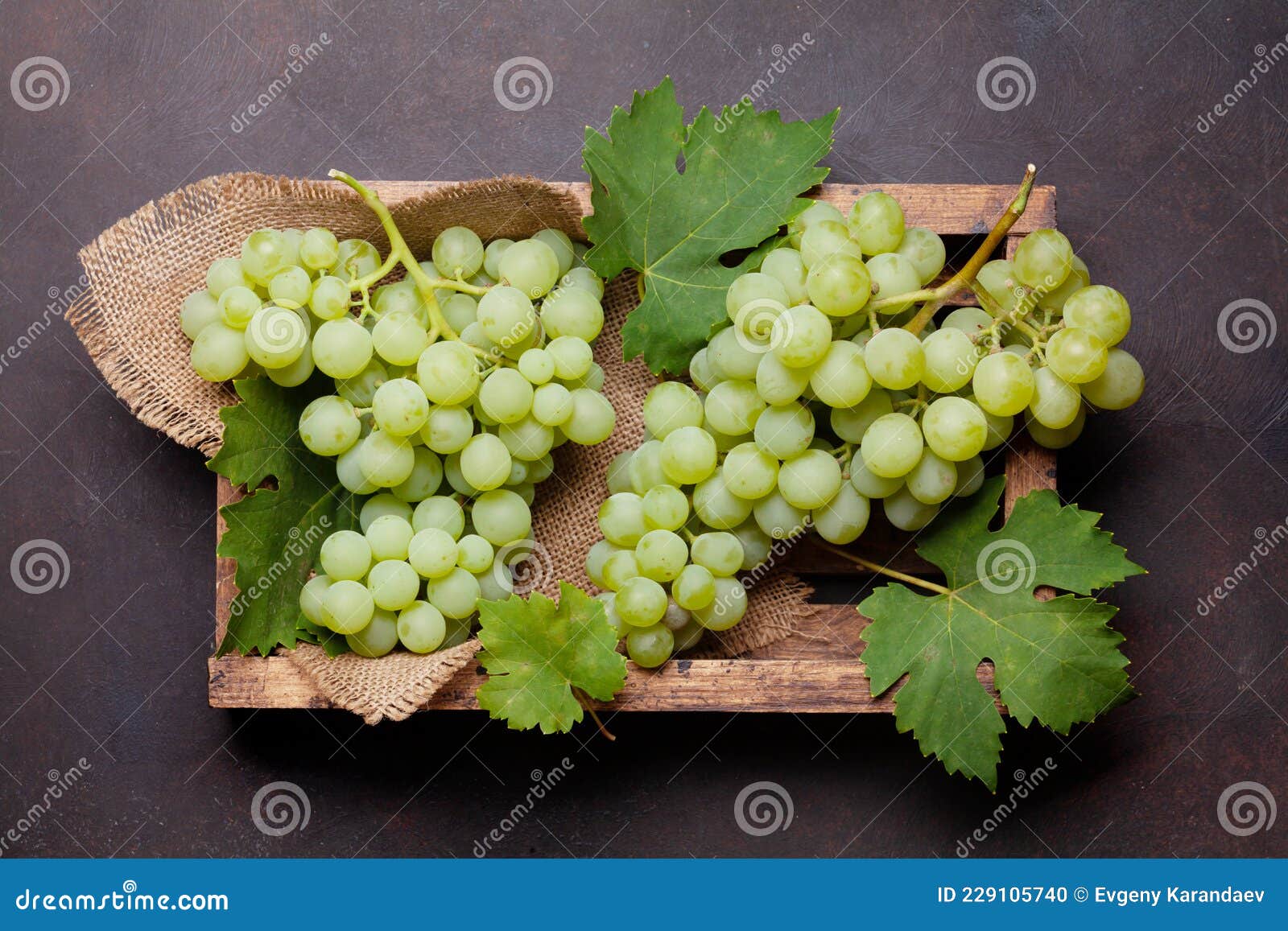 White grape stock photo. Image of harvest, cork, corkscrew - 229105740