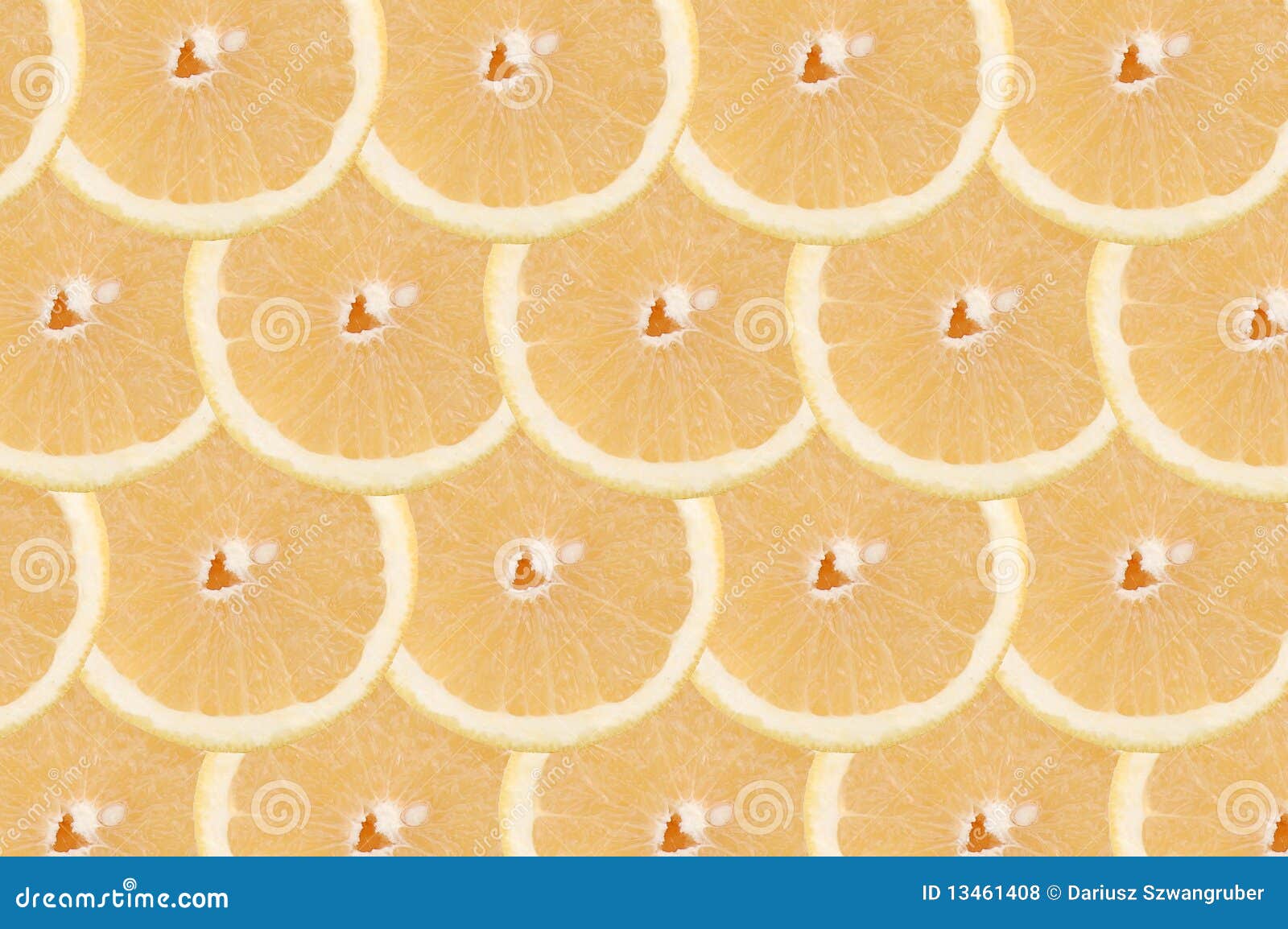 White Grapefruit Composition Stock Photo - Image of lemon, citrus: 13461408