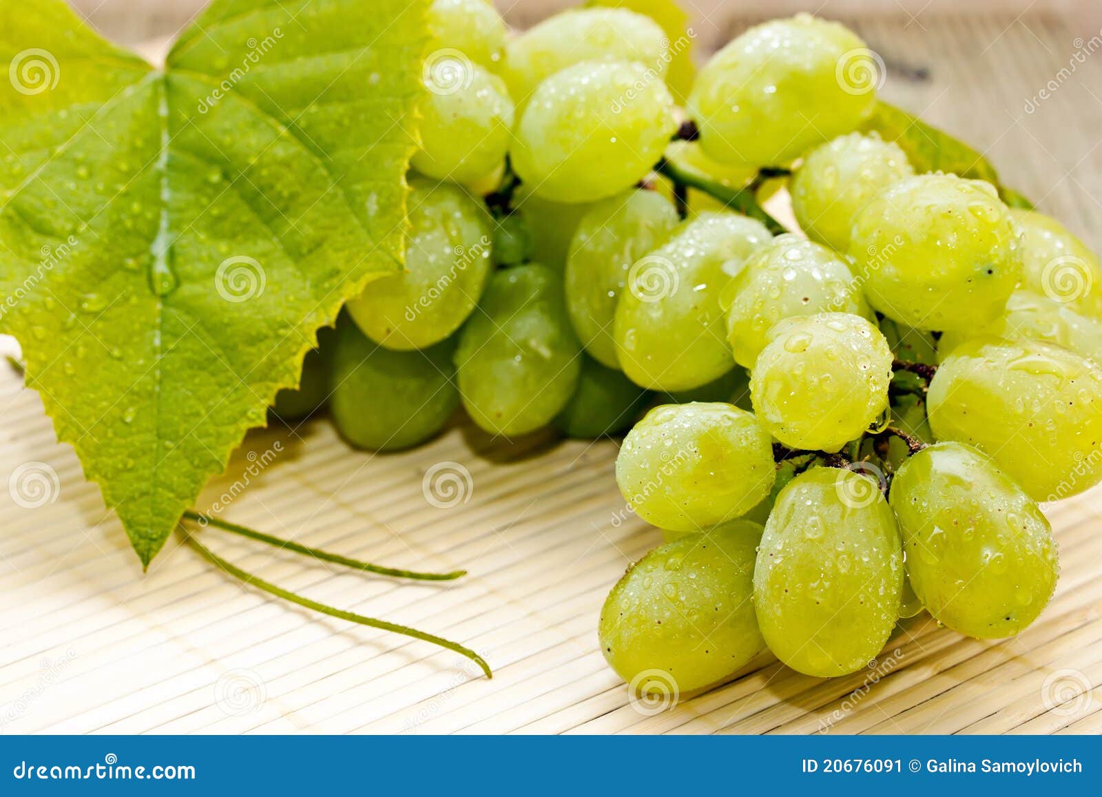 White grapes stock image. Image of natural, grapevine - 20676091