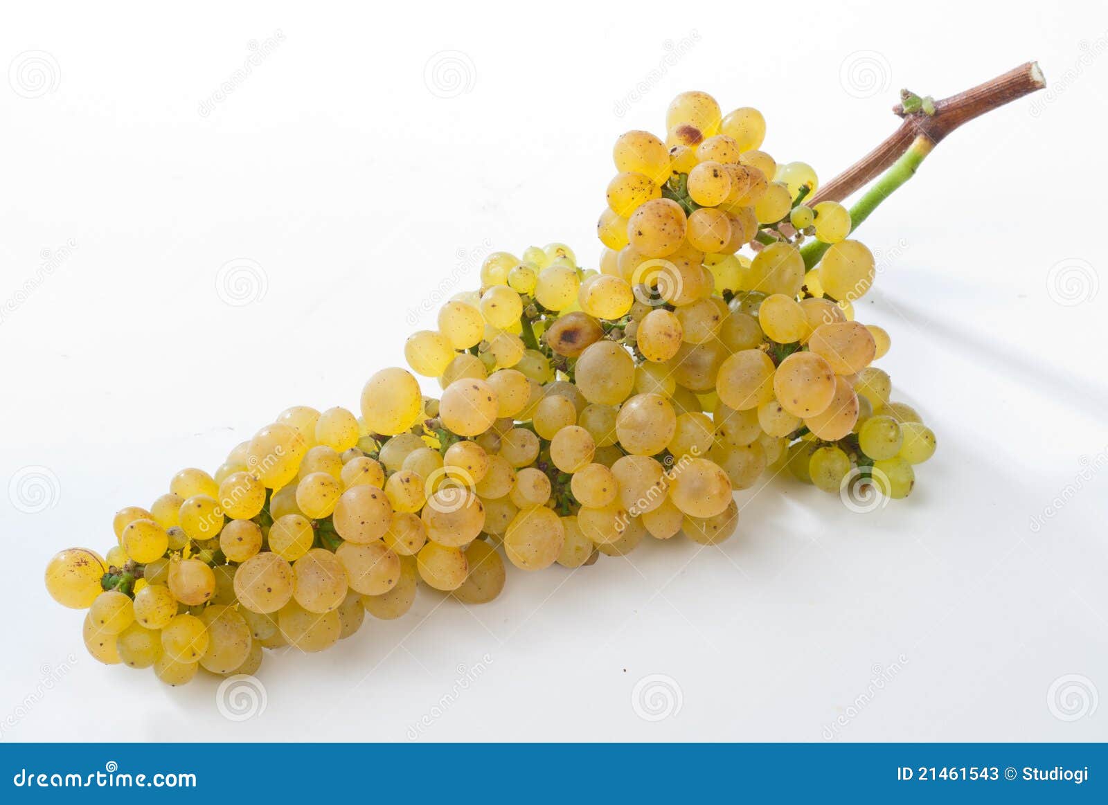 White grapes stock image. Image of vintage, ripe, white - 21461543