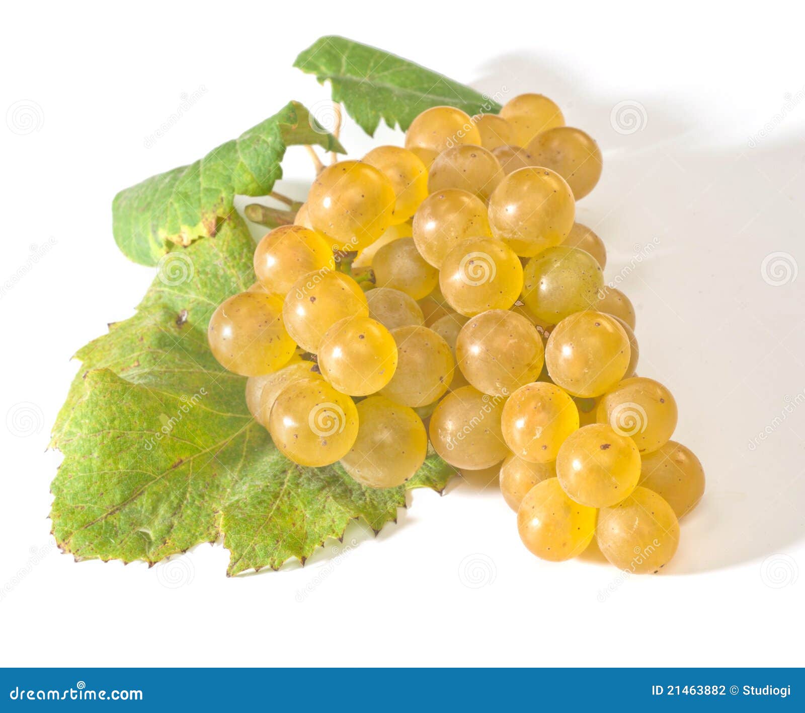 White grapes stock photo. Image of wine, berry, grape - 21463882