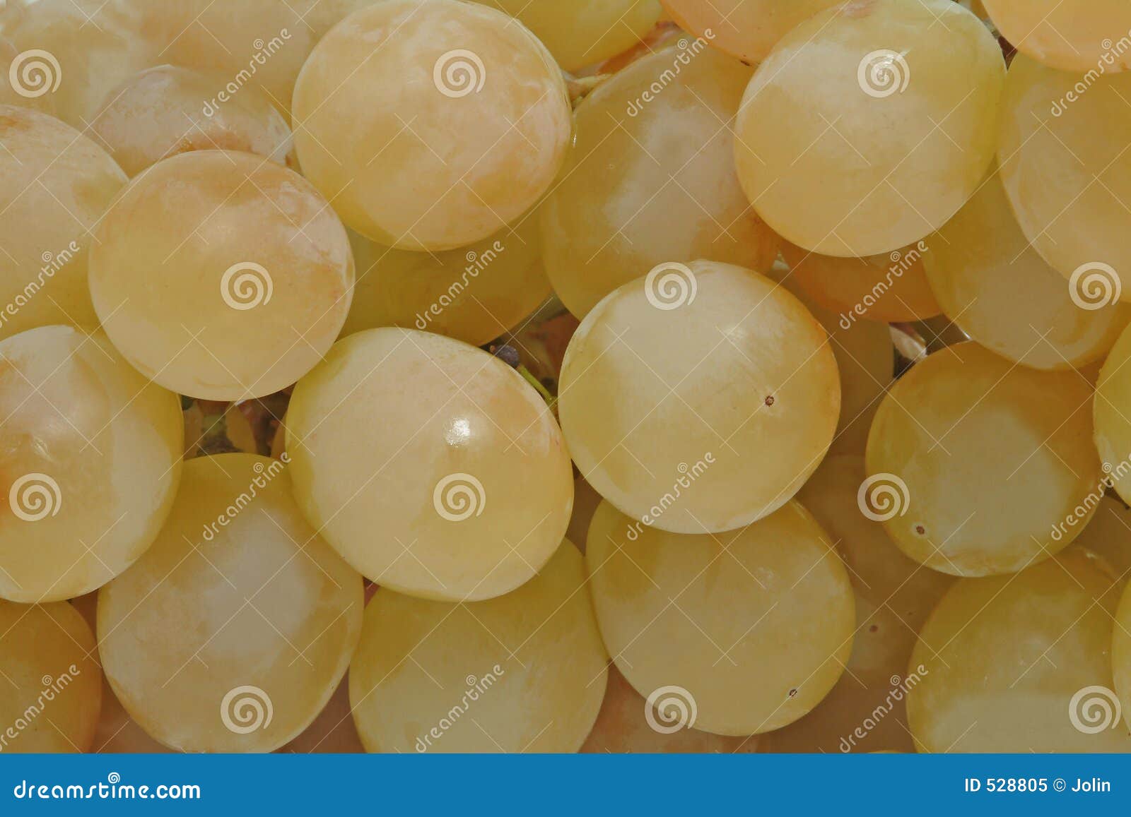 White grapes stock image. Image of ferment, flavor, champagne - 528805