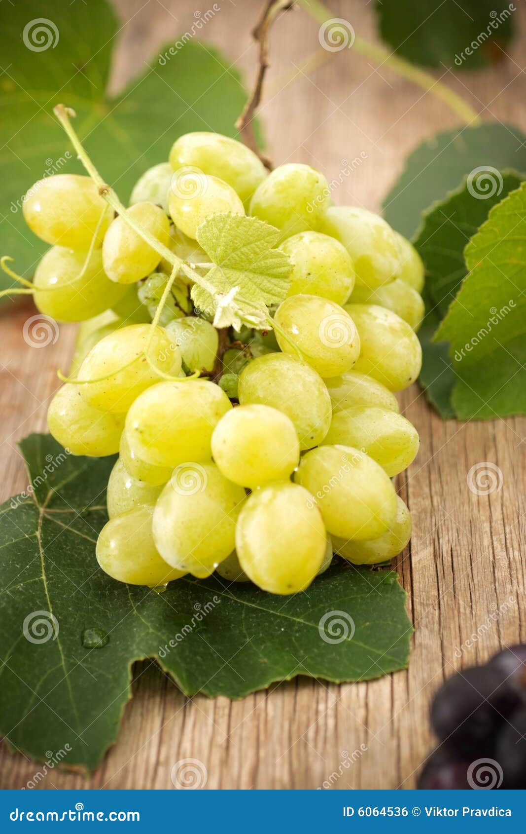 White grapes stock photo. Image of nutrition, fruit, yellow - 6064536