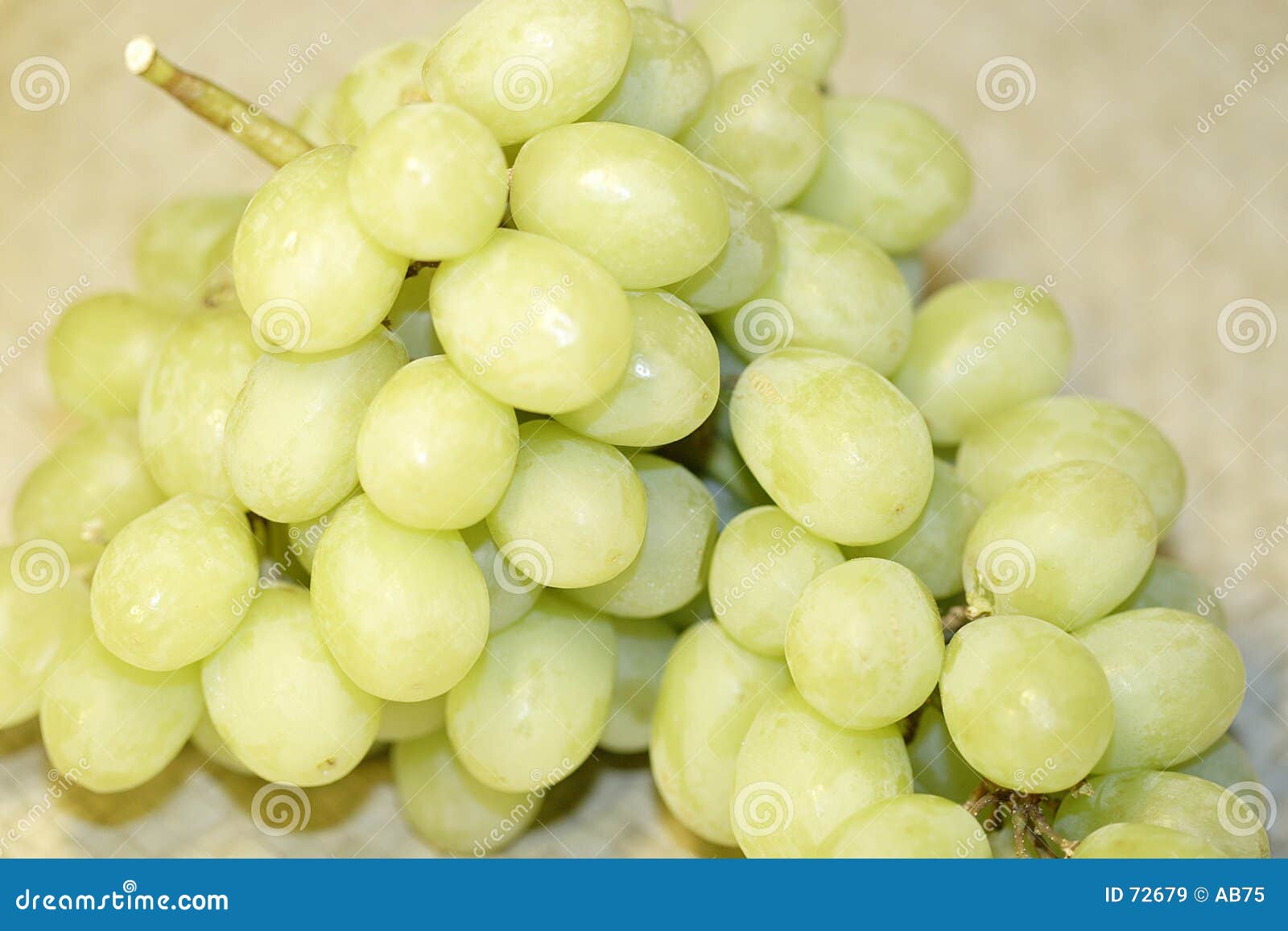 White Grapes Royalty Free Stock Images - Image: 72679