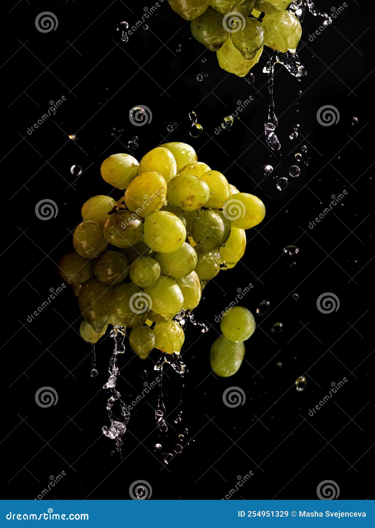 White Grapes, Drops of Water Pouring on the Grapes Stock Image - Image ...