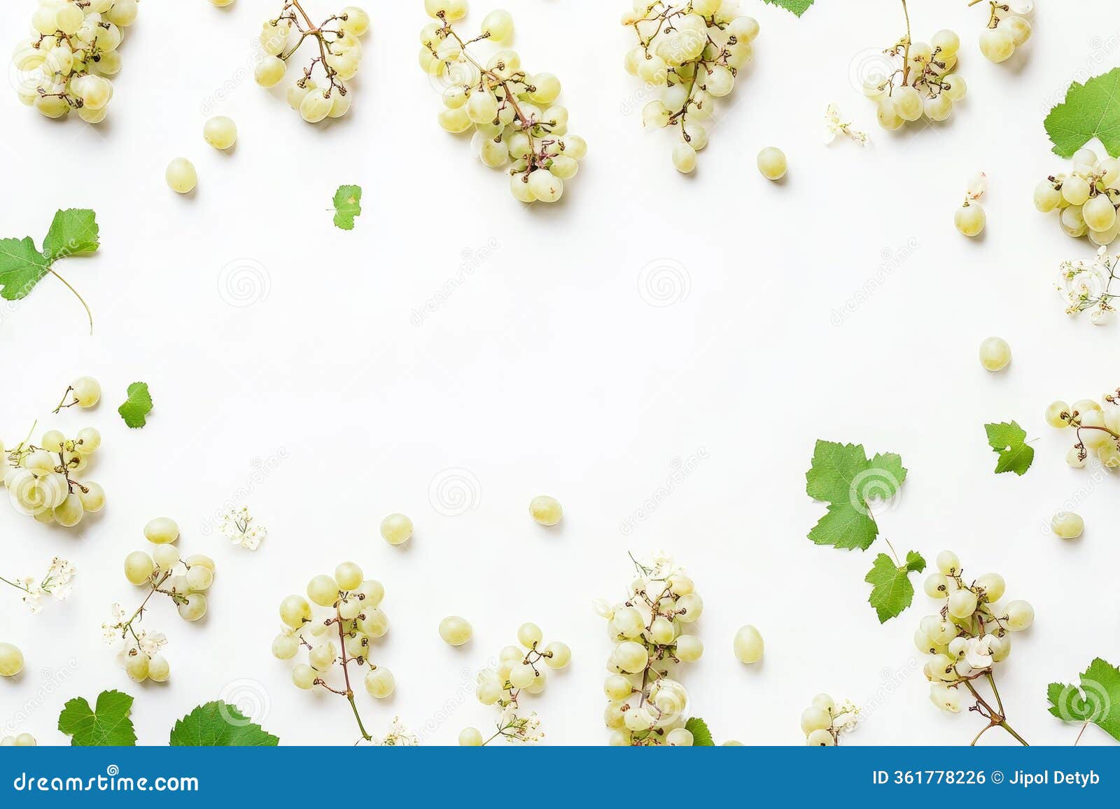 White Grapes, Top View Isolated on White Background. Stock Photo ...