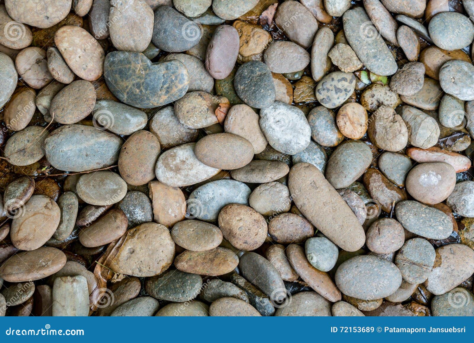 White gravel stock image. Image of stony, pebble, white - 72153689
