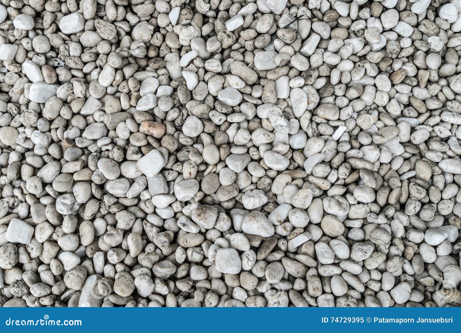 White gravel texture stock image. Image of grain, rough - 74729395