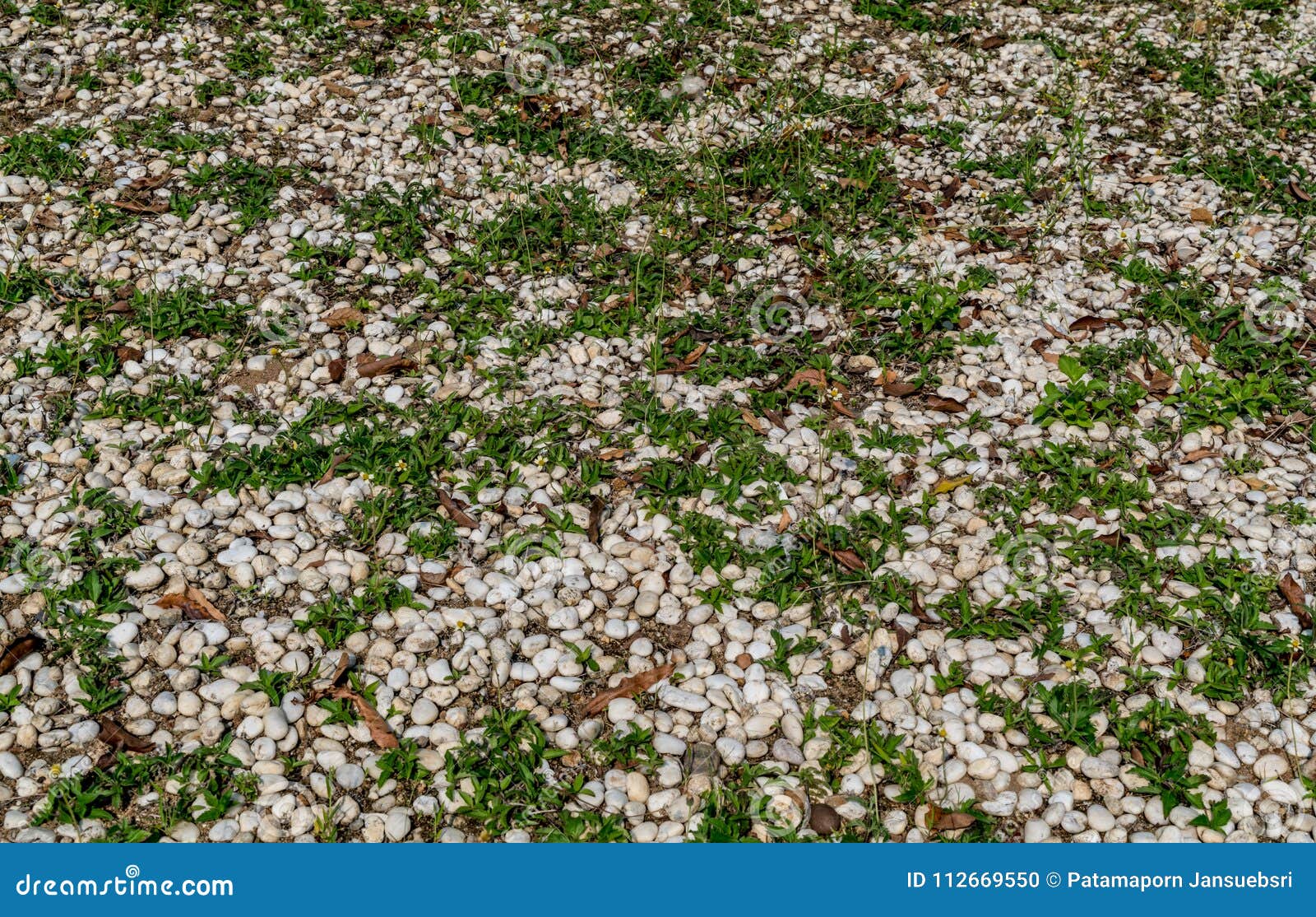 White gravel texture stock photo. Image of texture, gravel - 112669550