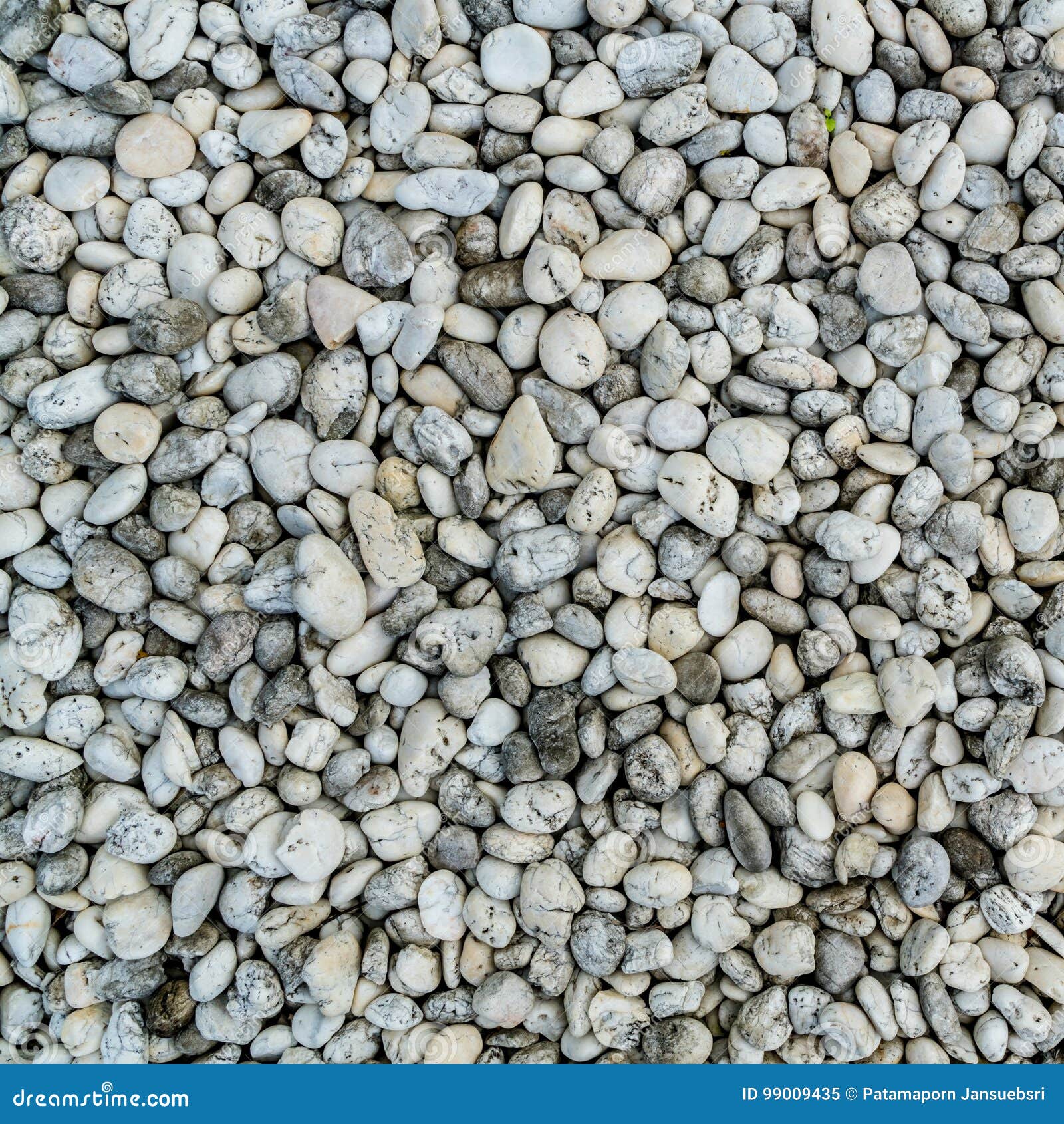 White gravel texture stock image. Image of rough, grain - 99009435