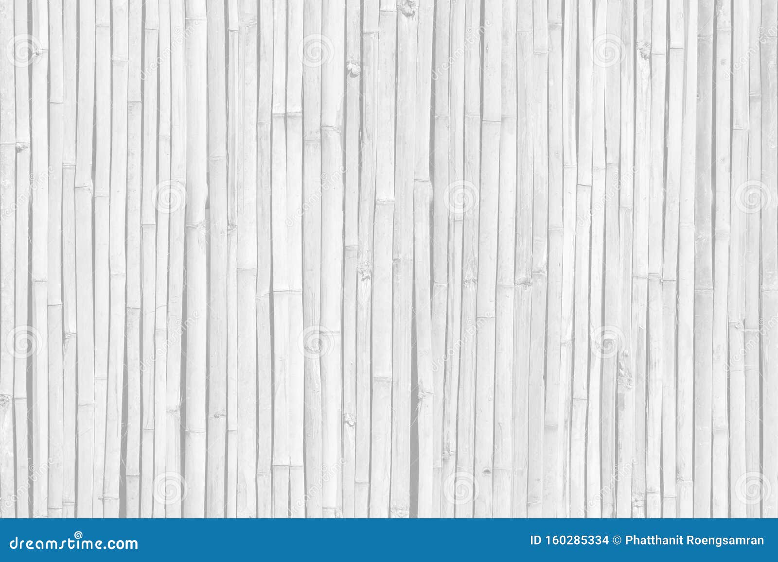 White Gray Bamboo Wood Wall Texture or Background Stock Photo - Image ...