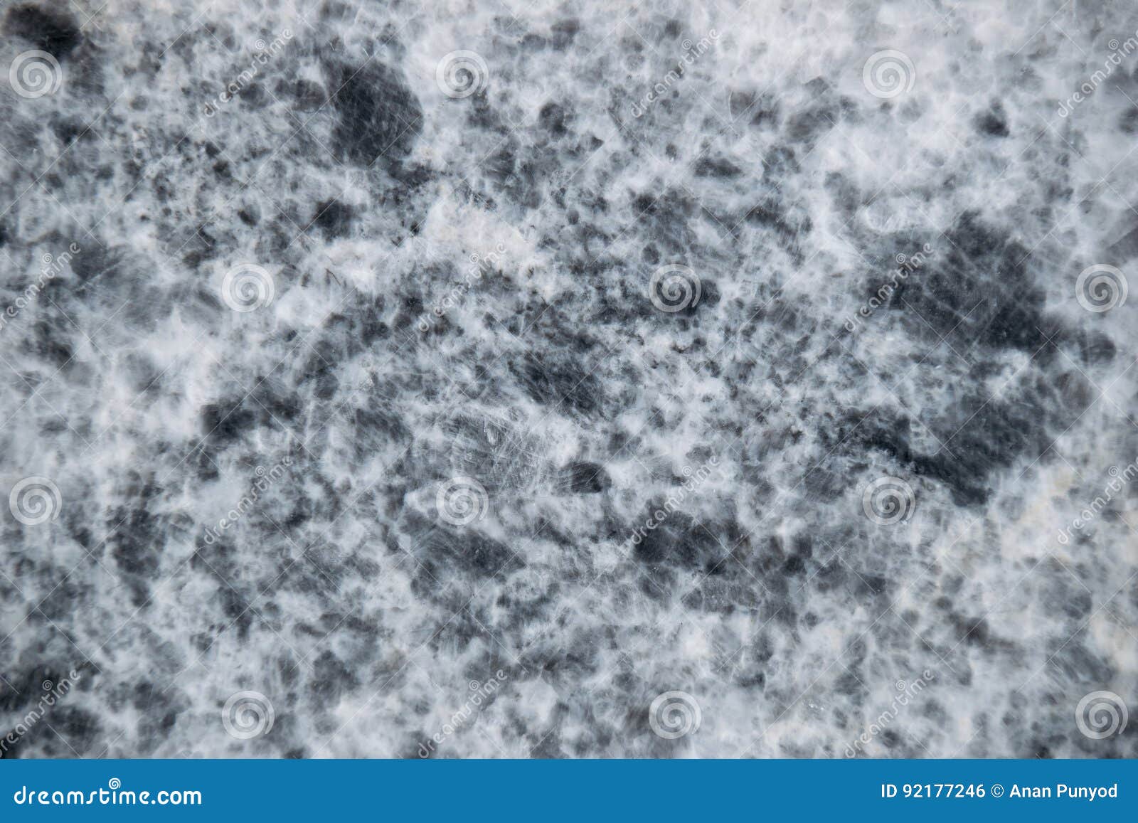 Elm Slab Texture. Live Edge Elm Countertop. Wood Texture Royalty-Free ...