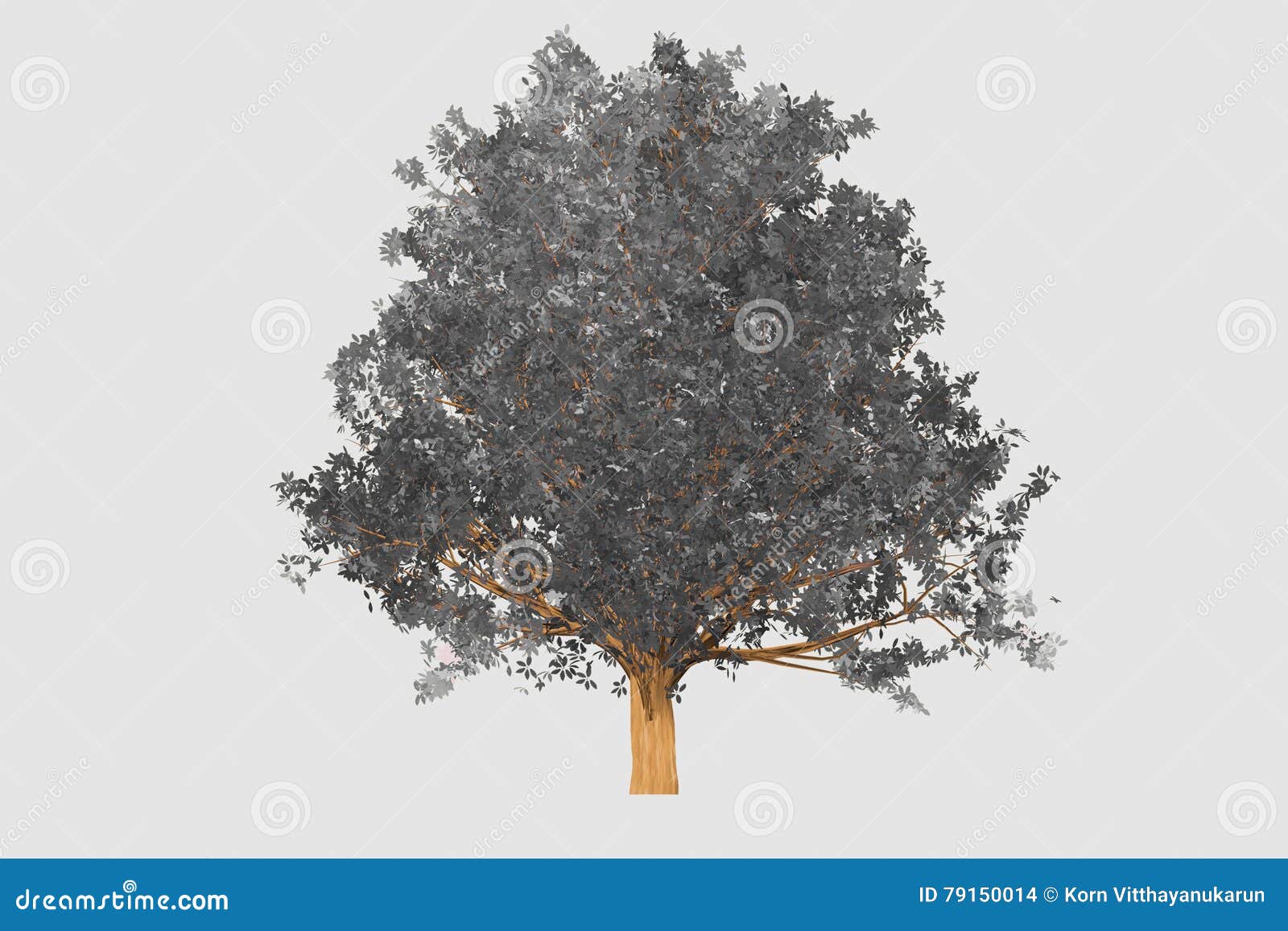 White Gray Oak Tree 3D Isolated on White Stock Illustration ...