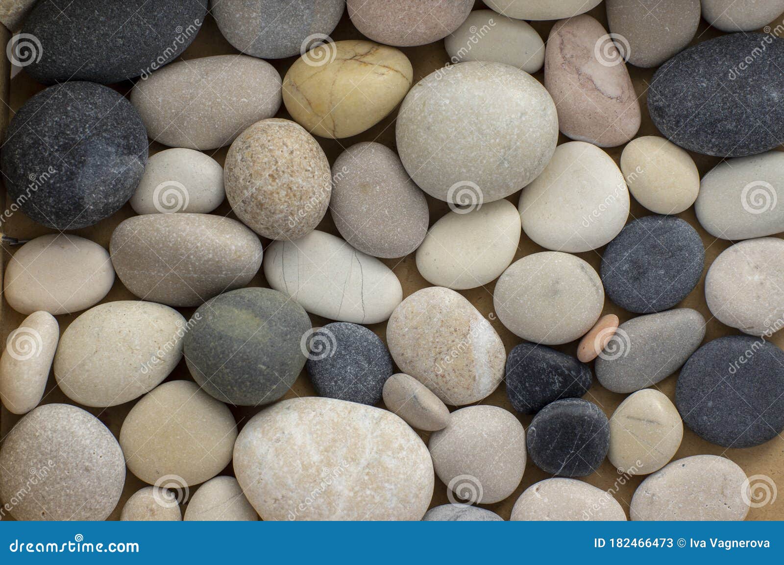 5,350 Pink Pebbles Stock Photos - Free & Royalty-Free Stock Photos from ...