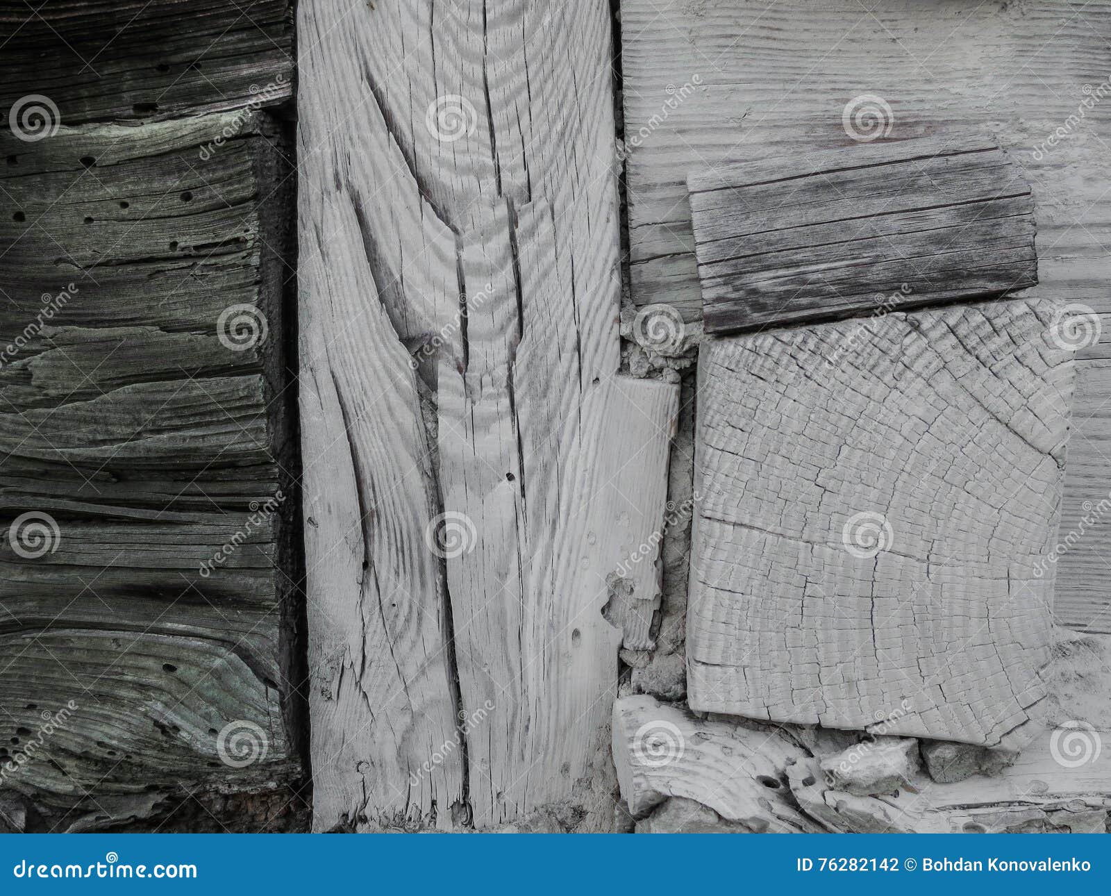 White and gray tree stock photo. Image of nwhite, house - 76282142