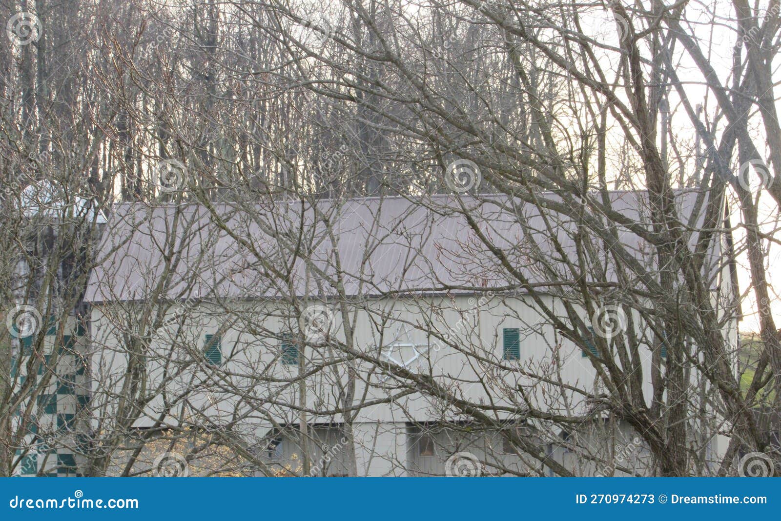 Checkered silo stock image. Image of branch, spring - 270974273