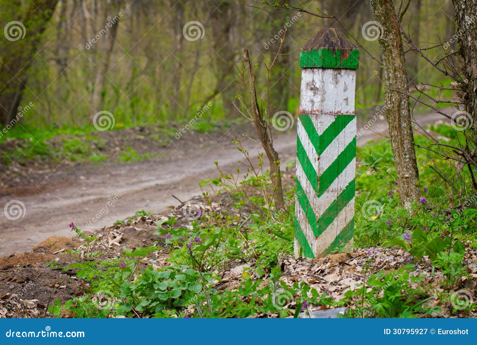 White Green Boundary Post at a Spring Forest Ground Road Stock Image ...