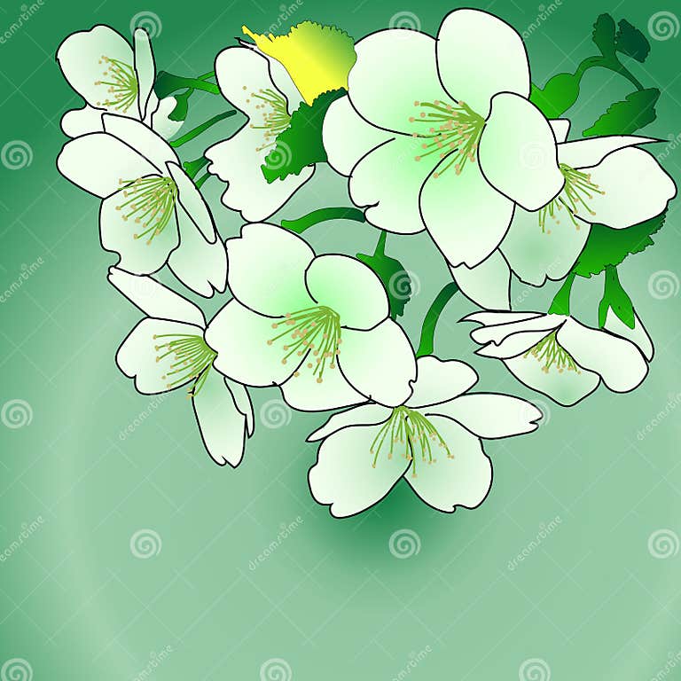 White and green flowers stock vector. Illustration of flower - 92301916