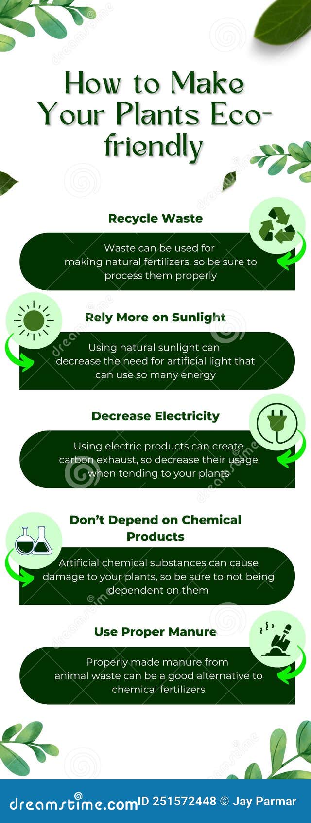 White and Green Texture Leaf Plant Care Infographic Stock Illustration ...