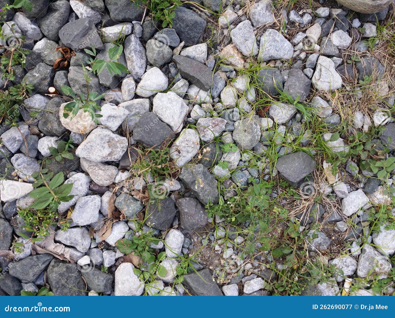 White and Grey Granite Various Size Rocks on Soil Ground Floor Stock ...