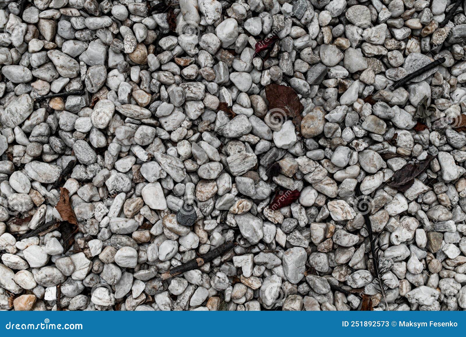 White and Grey Pebble Stone Texture on the Ground. Stock Image - Image ...