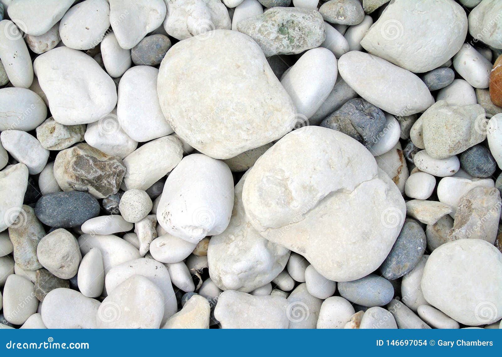 White and Grey Pebbles on a Beach Stock Photo - Image of covering ...