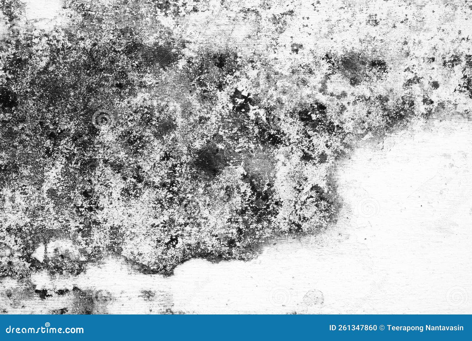 White Grunge Concrete Wall Background, Suitable for Background ...