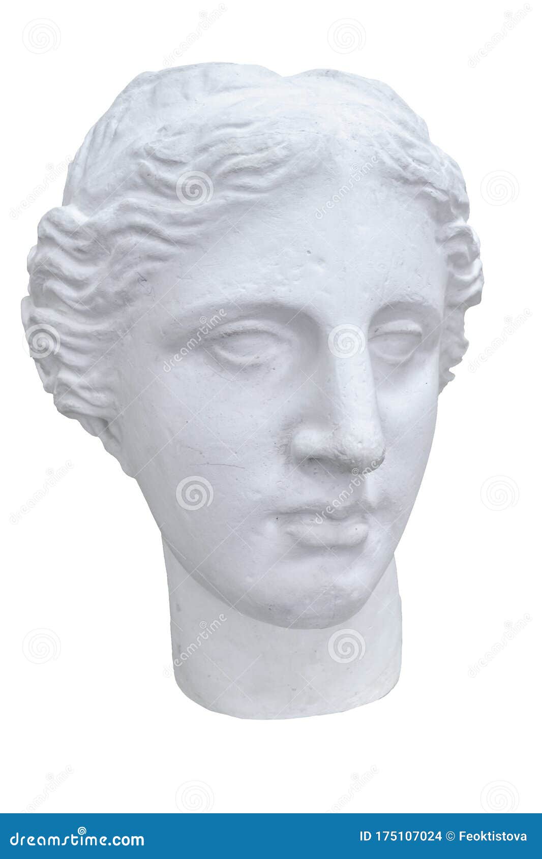 Gypsum Bust, Statue Of David`s Head. Michelangelo`s David Statue ...