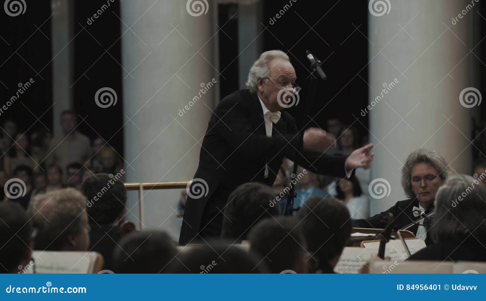 White-haired Conductor Directing String Orchestra in Classic Style ...