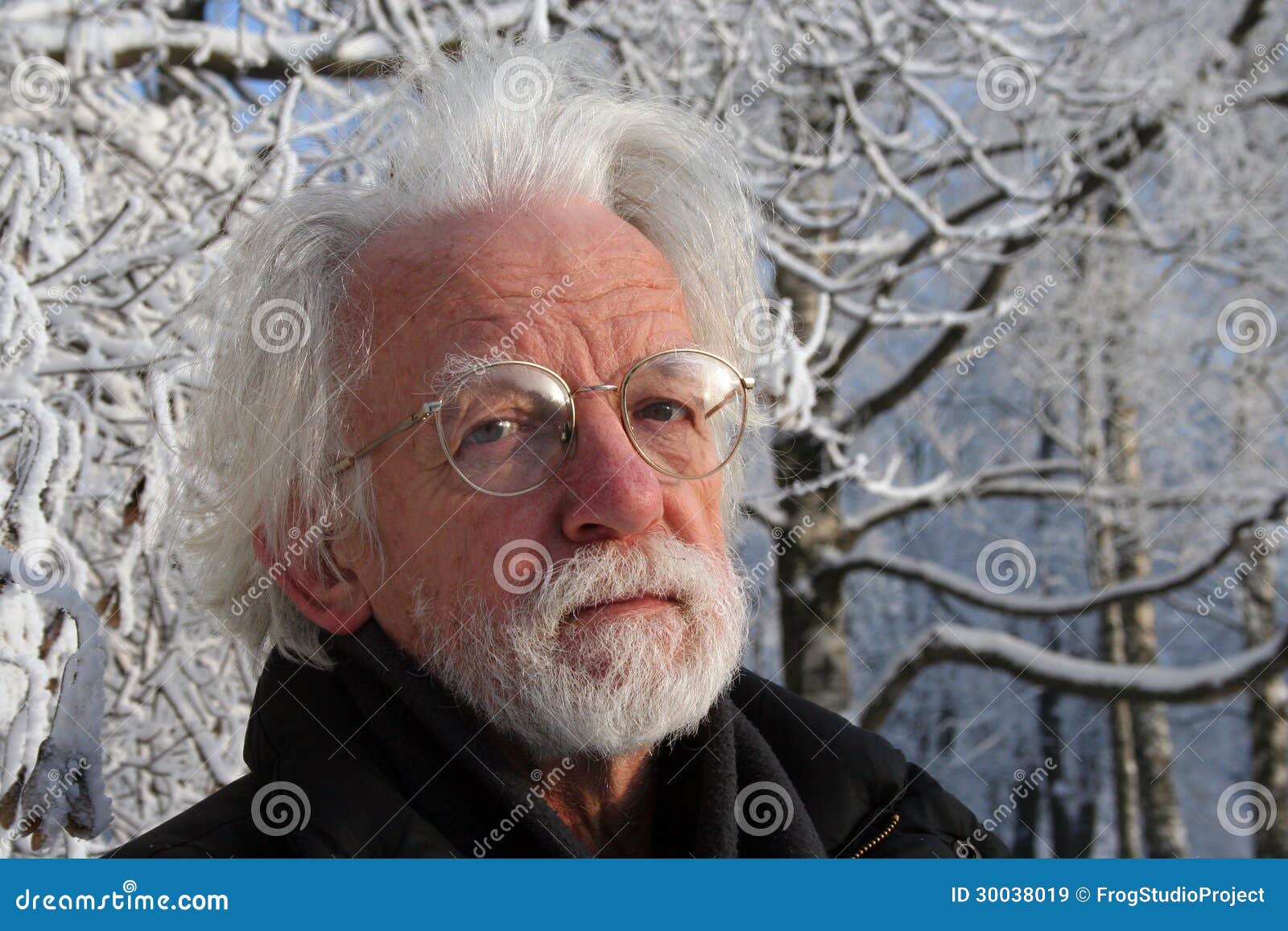 White Haired Man on Winter Tree Background Stock Image - Image of happy ...
