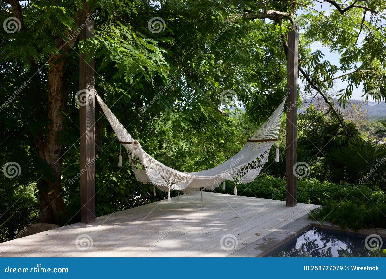 White Hammock Connected To Wooden Sticks Under Trees Stock Image ...