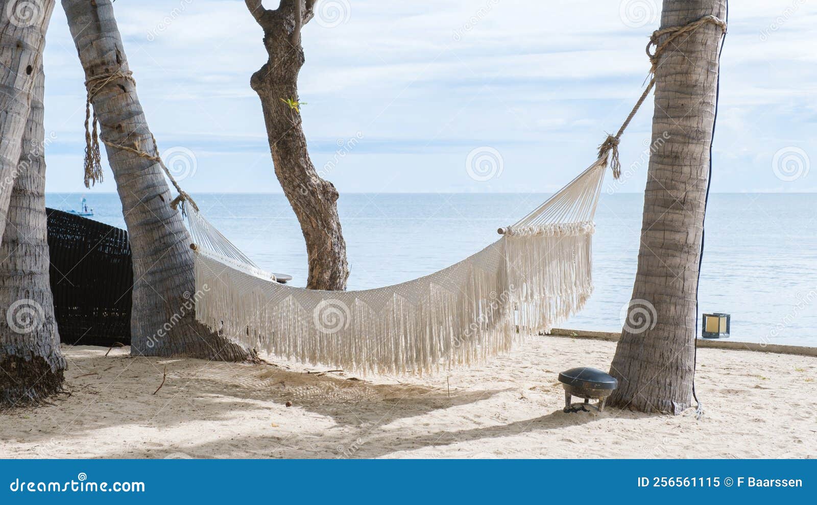 White Hammock Under Palm Trees At A Tropical Beach In Thailand Hua Hin Stock Image Image Of