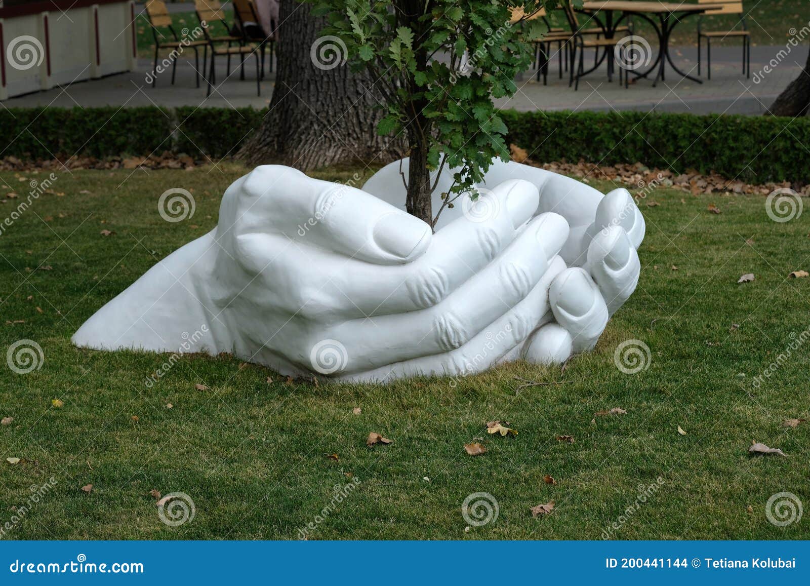 White Hands are Holding a Tree Sculpture. Stock Photo - Image of ...