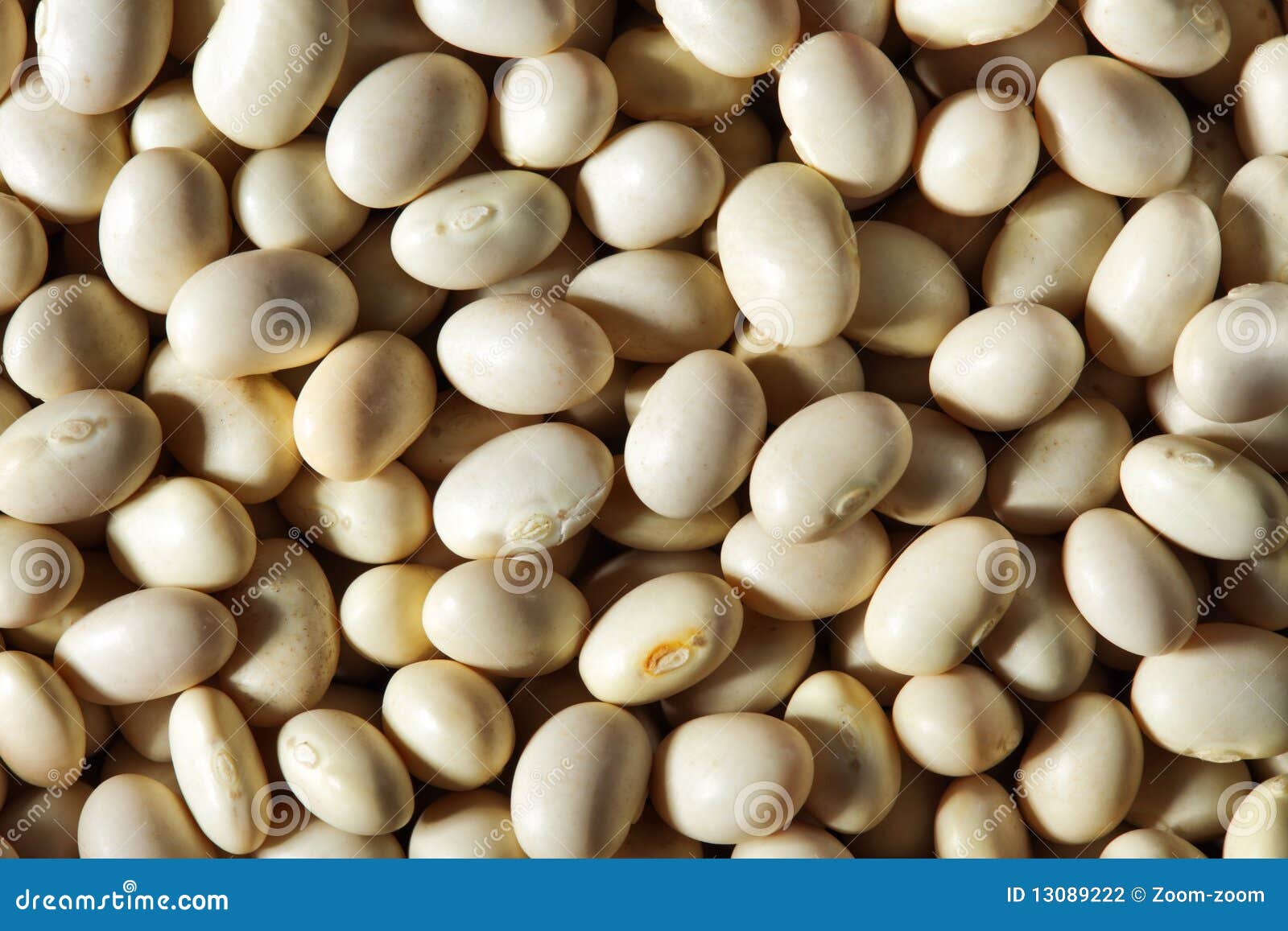 White Haricot Beans Background Stock Photography | CartoonDealer.com ...